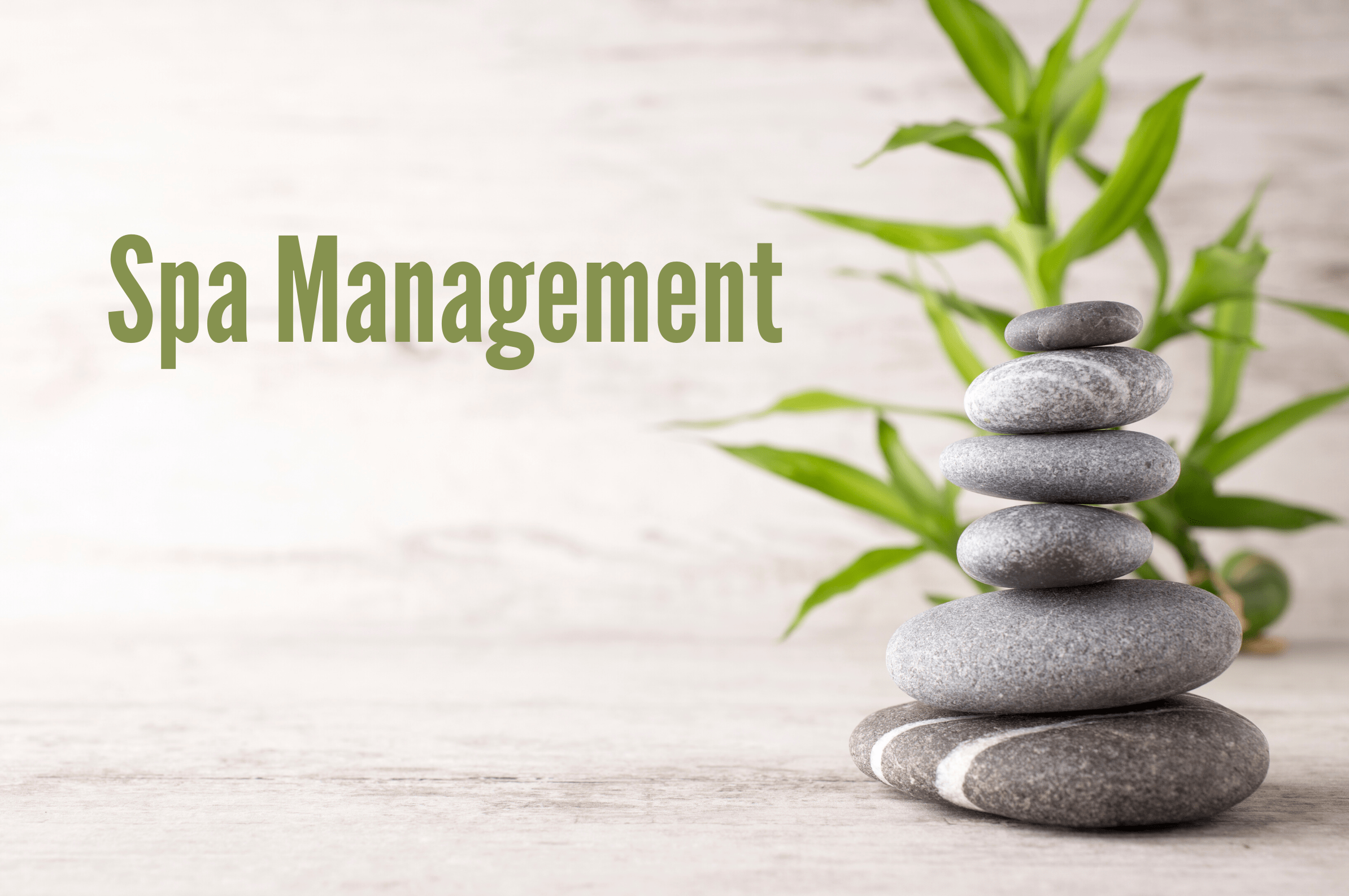 Asistentă de Management ⋆ Spa Plus